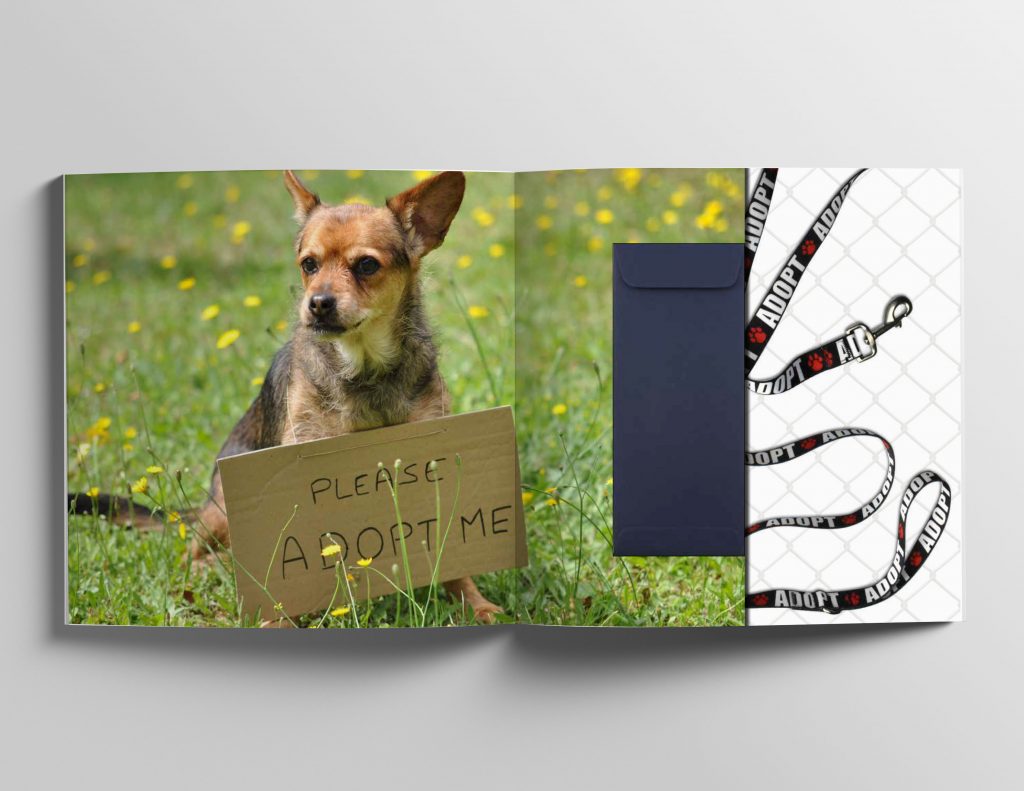 MFA Graduate Research Project | Melissa Seling DO YOU HAVE THE COURAGE ...