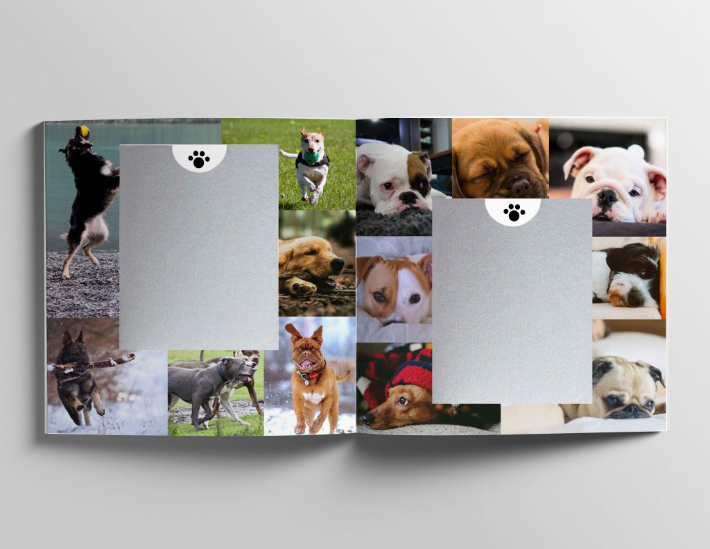 MFA Graduate Research Project | Melissa Seling DO YOU HAVE THE COURAGE ...