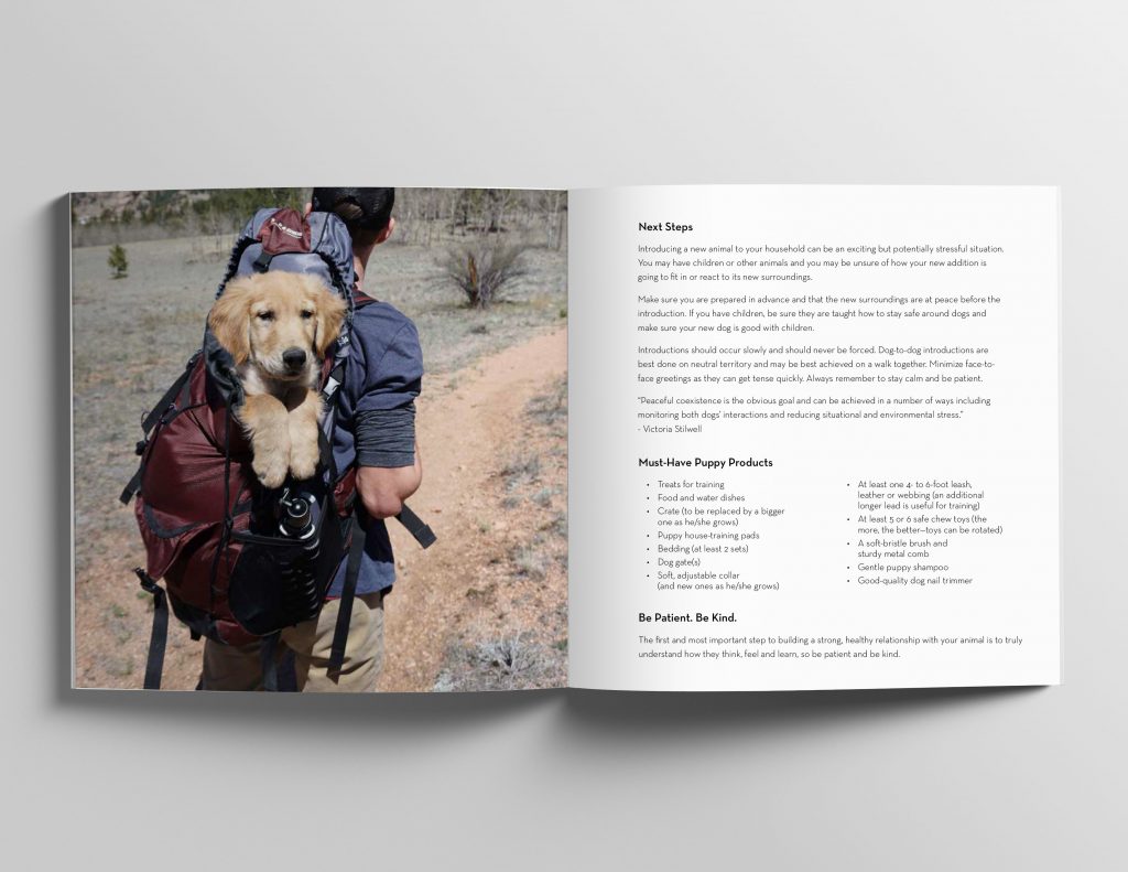 MFA Graduate Research Project | Melissa Seling DO YOU HAVE THE COURAGE ...